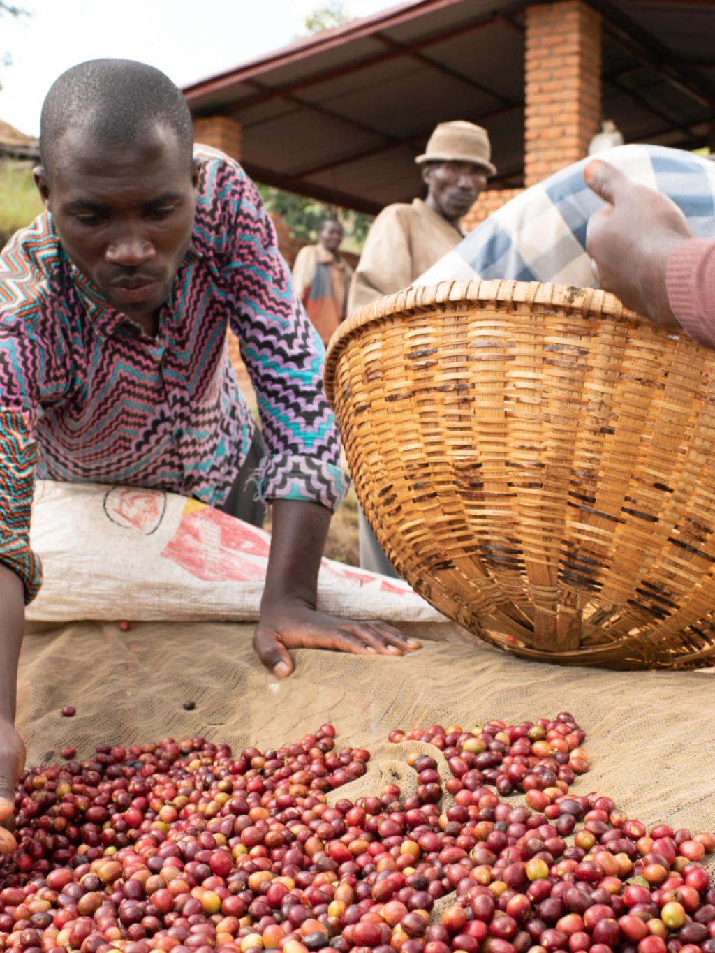 What is ethical coffee? | Selecta